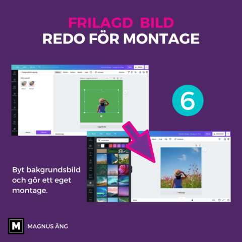 Frilägg bilder med Canva - 6 enkla steg! - 6 snabba steg (2021)